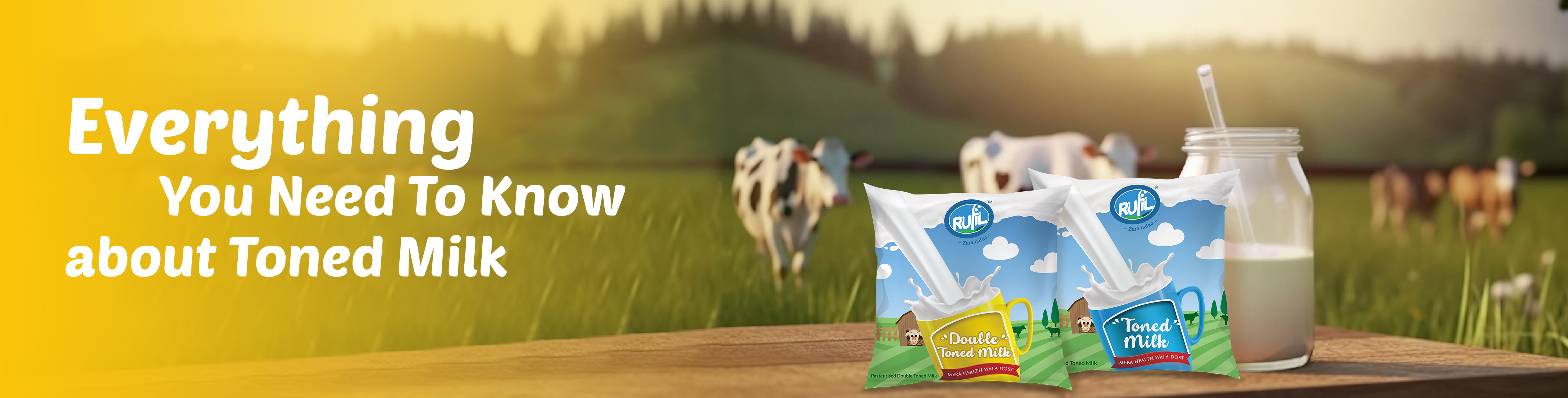 Everything You Need To Know About Toned Milk| Rufil